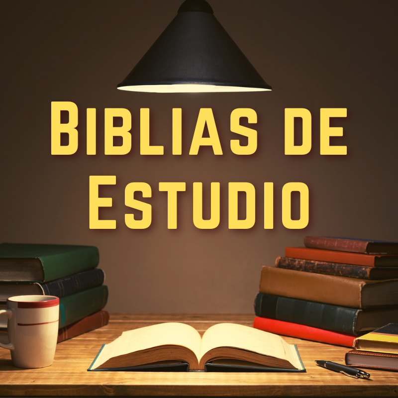 Biblias de Estudio – Libreria Cristiana Vida Nueva